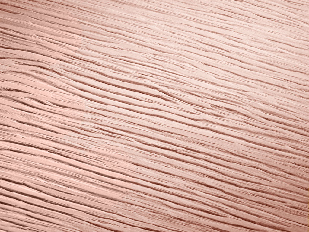 Veneer Sandblast Steam Beech 22mm x 2mm | Ney Ireland