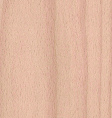 Veneer Steam Beech | Woodworking Machinery, Materials and Components ...